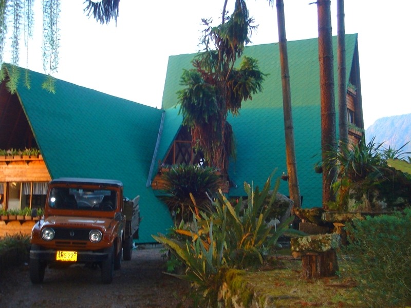 TEJA TIPO SHINGLE - Todo en Techos